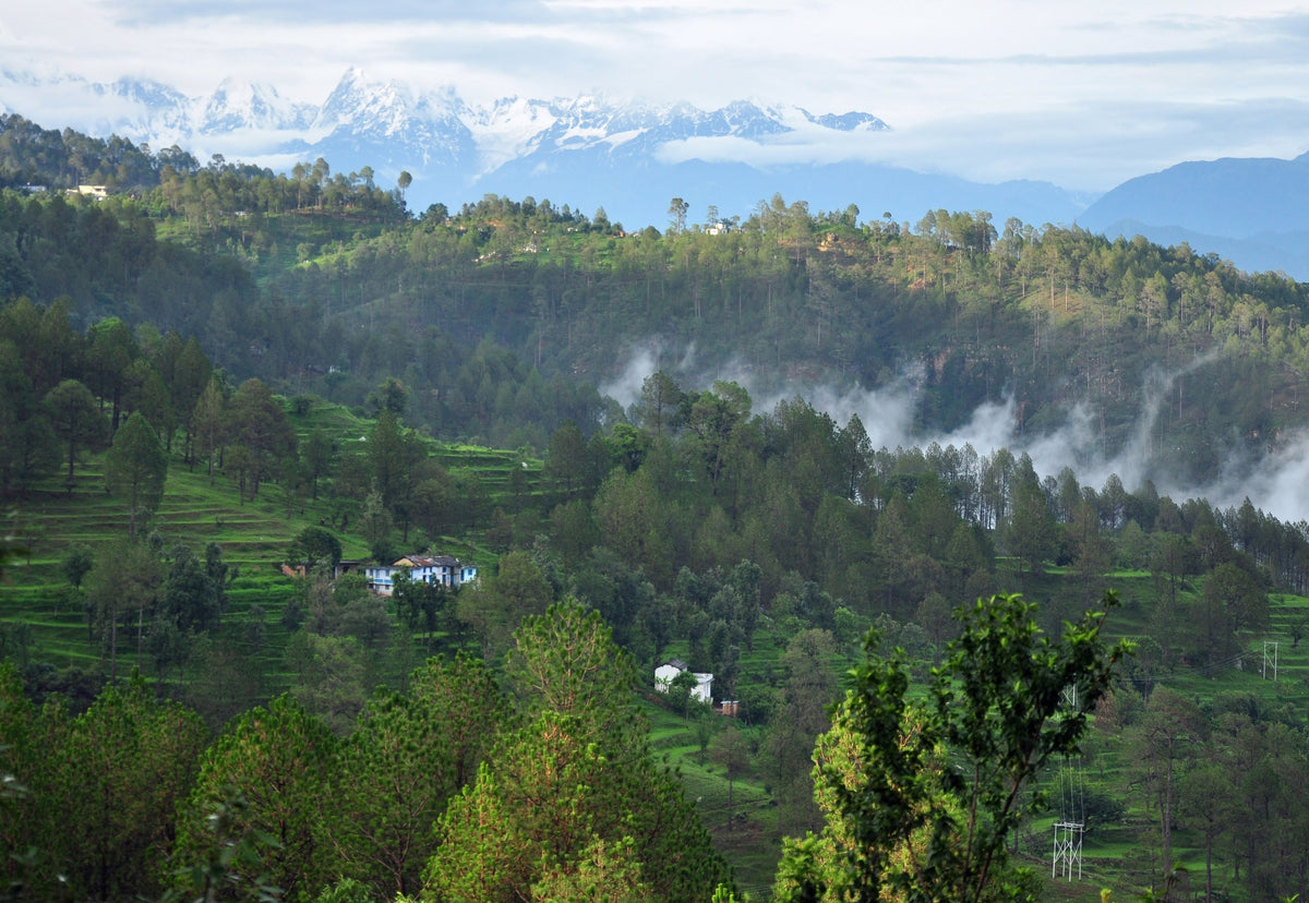 Six Ways Avani’s Textiles are Eco-Friendly – Avani Earthcraft